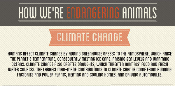 How We’re Endangering Animals